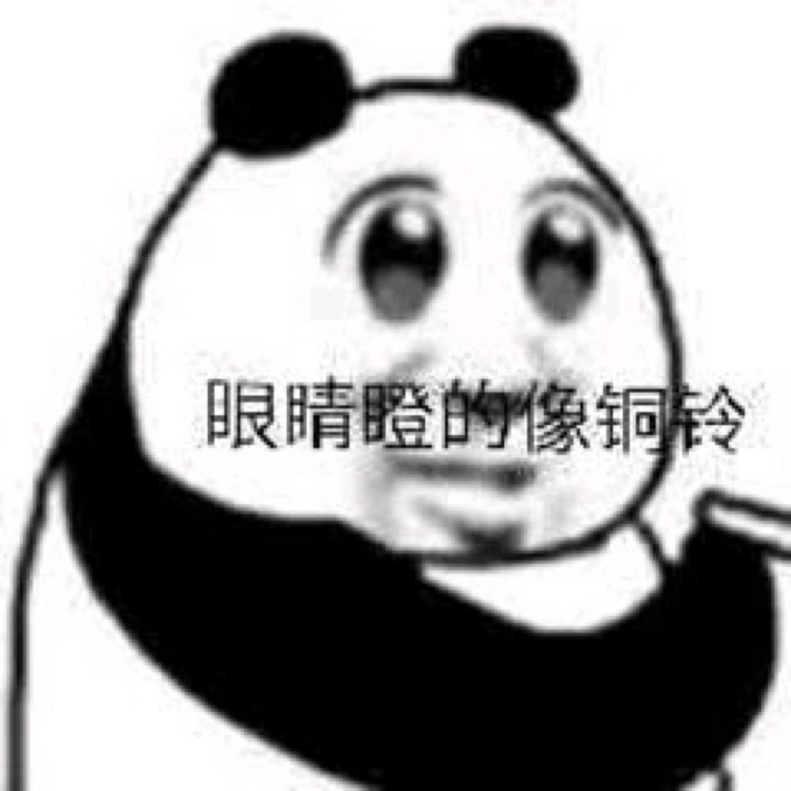 熊猫表情包 - 堆糖，美图壁纸兴趣社区