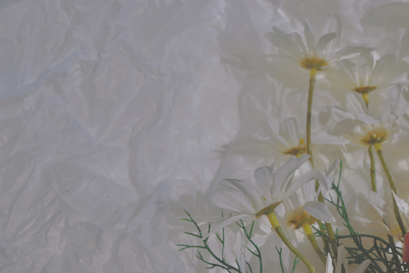 电脑壁纸 桌面壁纸 聊天背景 锁屏壁纸 ins … - 堆糖，美图壁纸兴趣社区