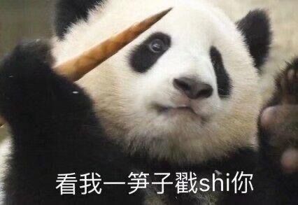 情侣表情包 - 高清图片，堆糖，美图壁纸兴趣社区