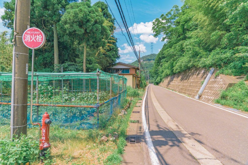 Artist:Akine Coco Twi:akinecoco987 #治愈… - 堆糖，美图壁纸兴趣社区