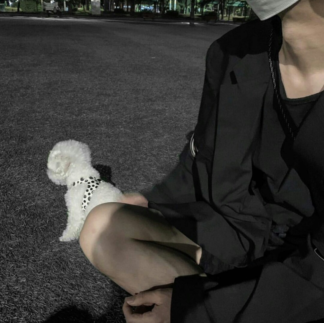 ins:woo_o9o - 堆糖，美图壁纸兴趣社区