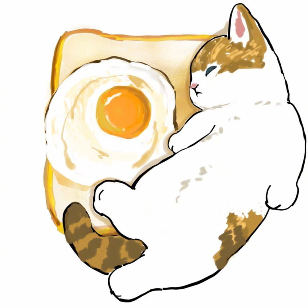 猫 堆糖，美图壁纸兴趣社区