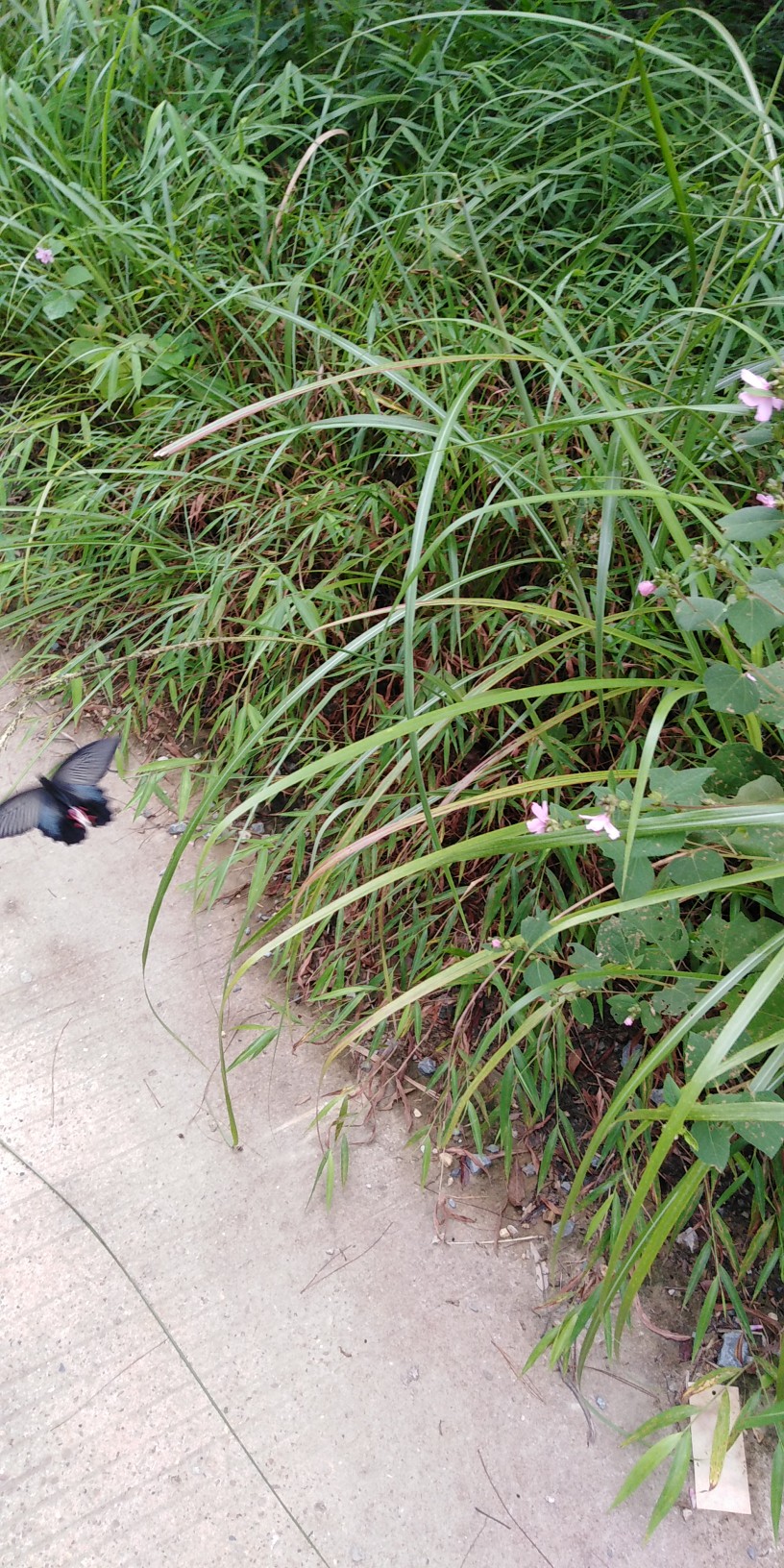 景 - 高清图片，堆糖，美图壁纸兴趣社区